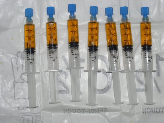 Equine Orthopedic Services – San Dieguito Equine